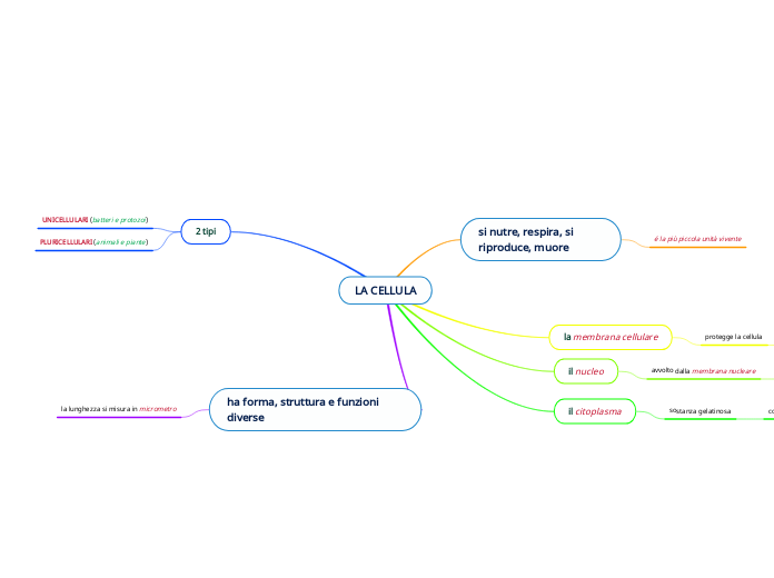 LA CELLULA - Mind Map